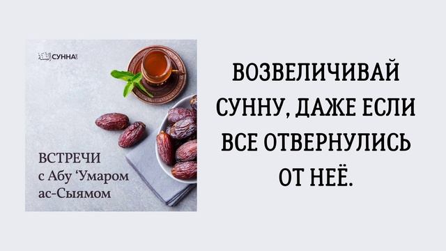 4. Возвеличивай Сунну, даже если все отвернулись от неё.