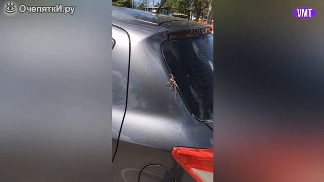 Уникальные смешные моменты из интернета