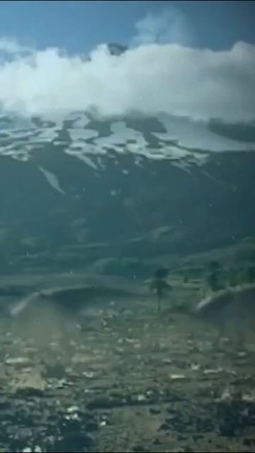 вся эволюция жизни на земле за 1 минуту