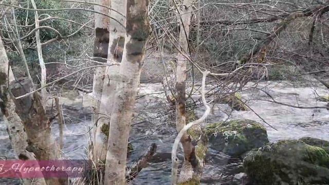 Медитация - Дыхание Жизни