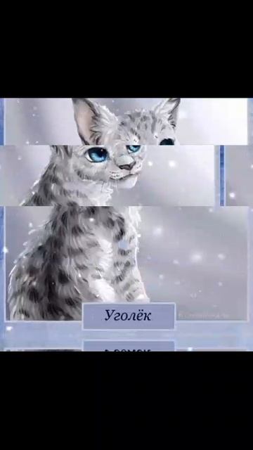 Коты-Воители ❤️