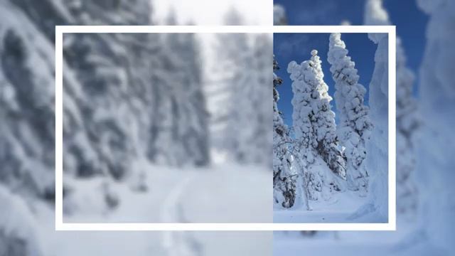 Зимние чудеса  Слайд-шоу  автор  Евгения Зябрева  Бонусный урок  Canva Базовый курс (8 поток)