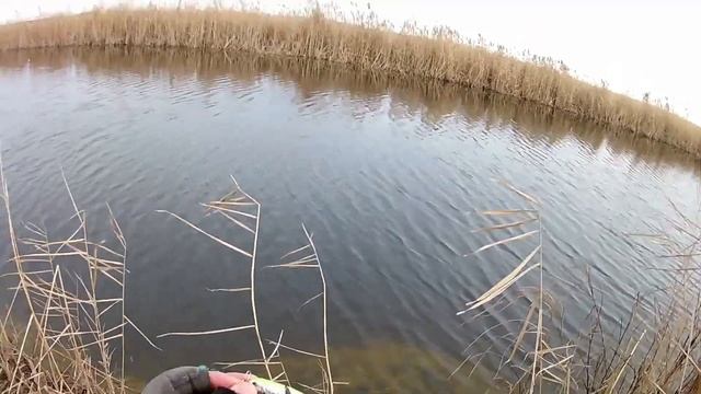 Ейский район.Труды.