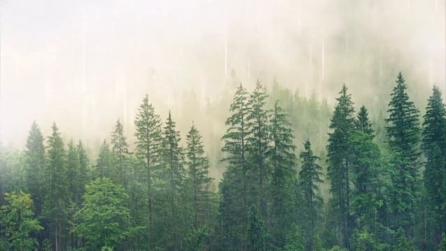 instrumental qub ae 27 rain минус