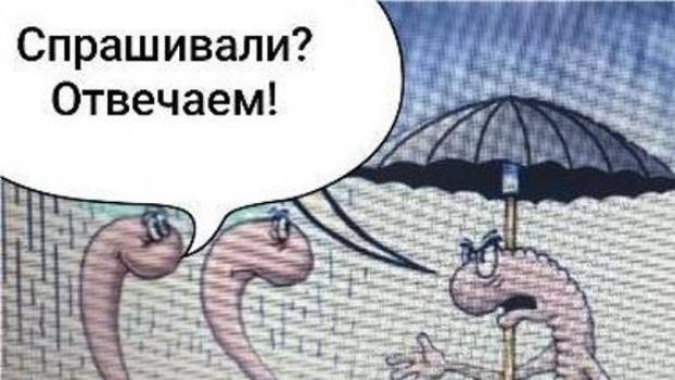 ПриХватизаторы ЛОМов: "вы работайте- работайте! А Лидеров мы вам назначим сами"