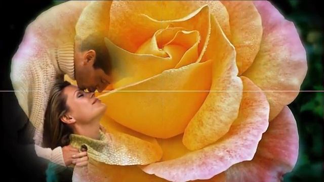 Моё розовое счастье  Слайд-шоу  автор Людмила Чубенко  Бонусный урок  Canva Базовый курс (8 поток)