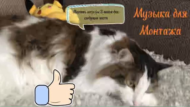 Музыка для монтажа 6 (поставь 3 лайка для 7 части)