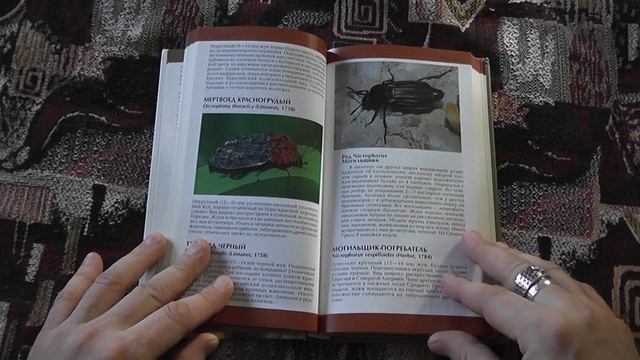 "Жуки среднего урала" (П.Ю.Горбунов,В.Н.Ольшванг,2008)