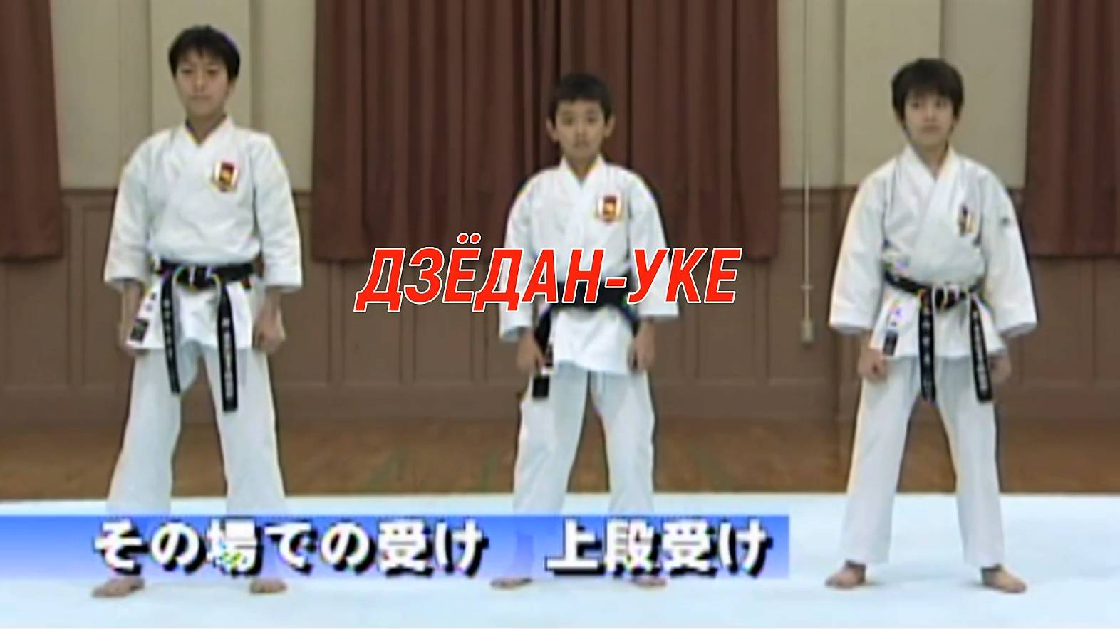 Дзёдан-уке (Кихон Вадо каратэ)