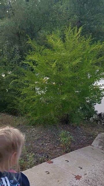 Что с Уралом сейчас