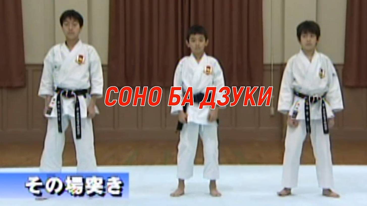 Соно ба дзуки (кихон Вадо каратэ)