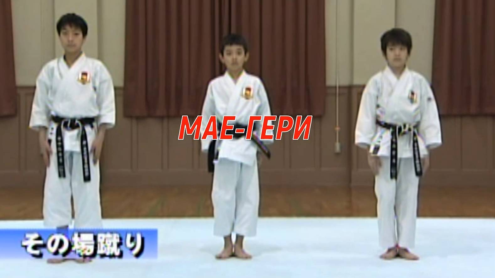Мае-гери (Кихон Вадо каратэ)