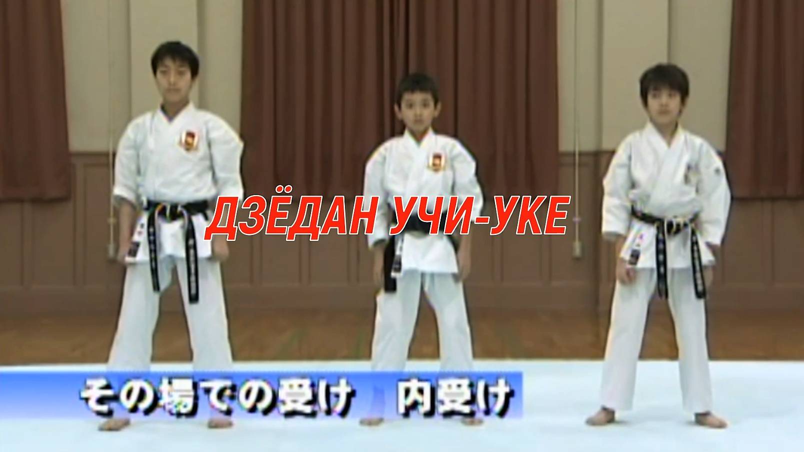 Дзёдан учи-уке (Кихон Вадо каратэ)
