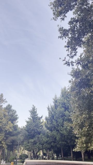 Баку (Азербайджан) (6)