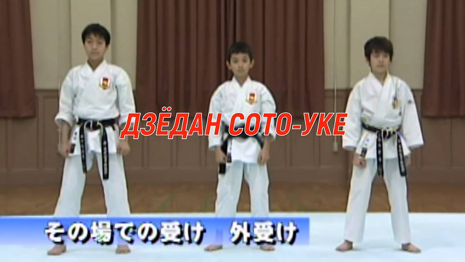 Дзёдан сото-уке (Кихон Вадо каратэ)