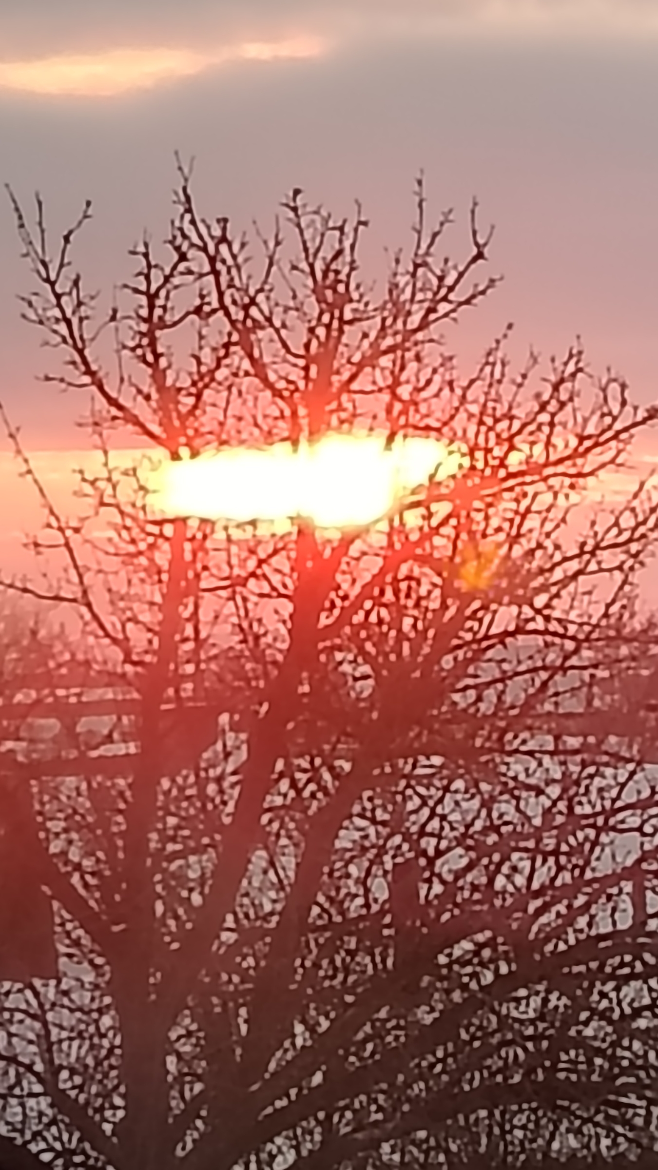 Восход. Моё творчество.