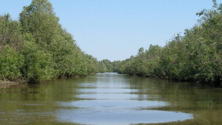 Устье Большой речки