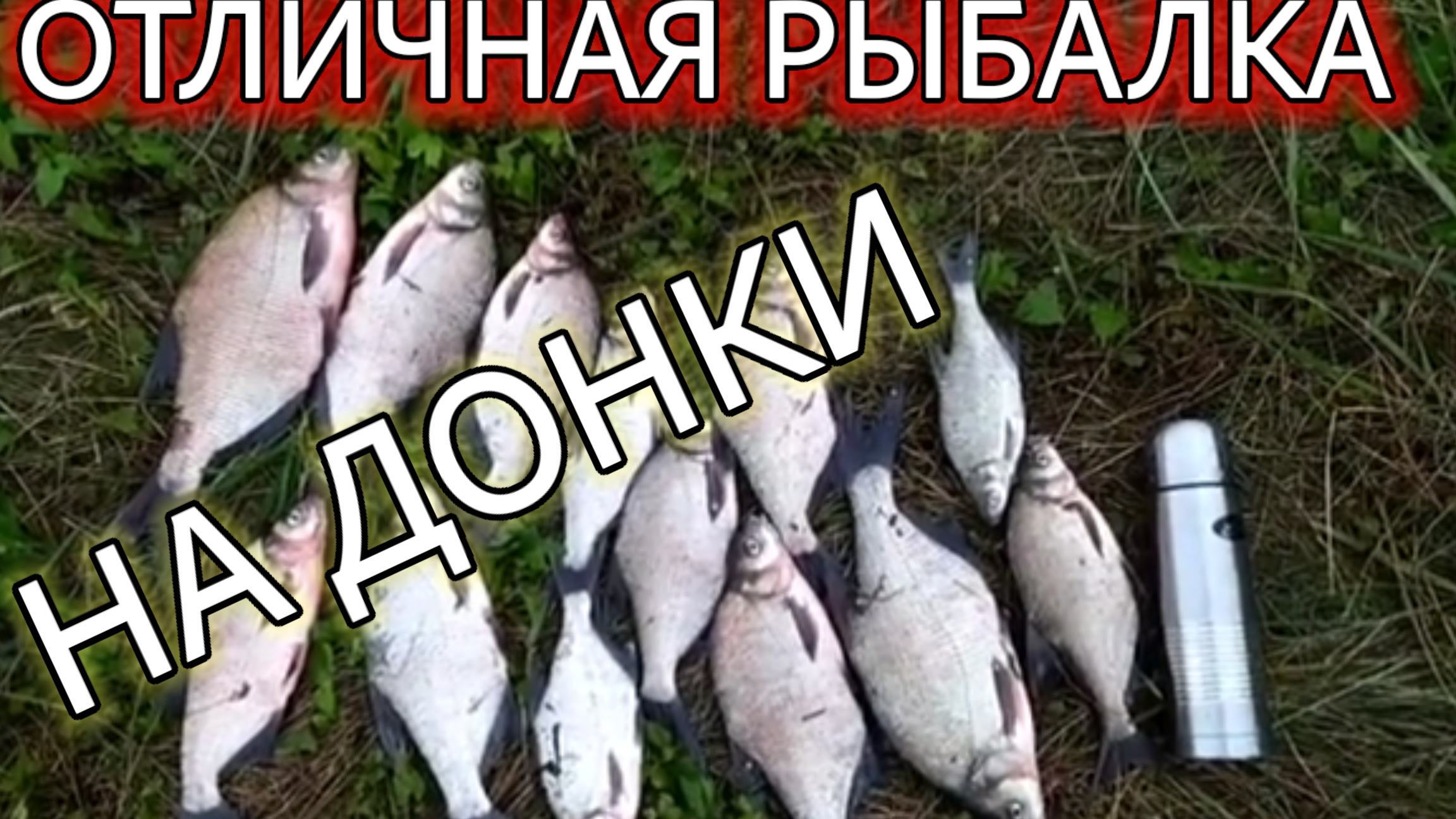 Рыбалка на УБИЙЦУ КАРАСЯ, КРОКОДИЛ И ПРУЖИНУ-СОСКУ. Отличный клев.