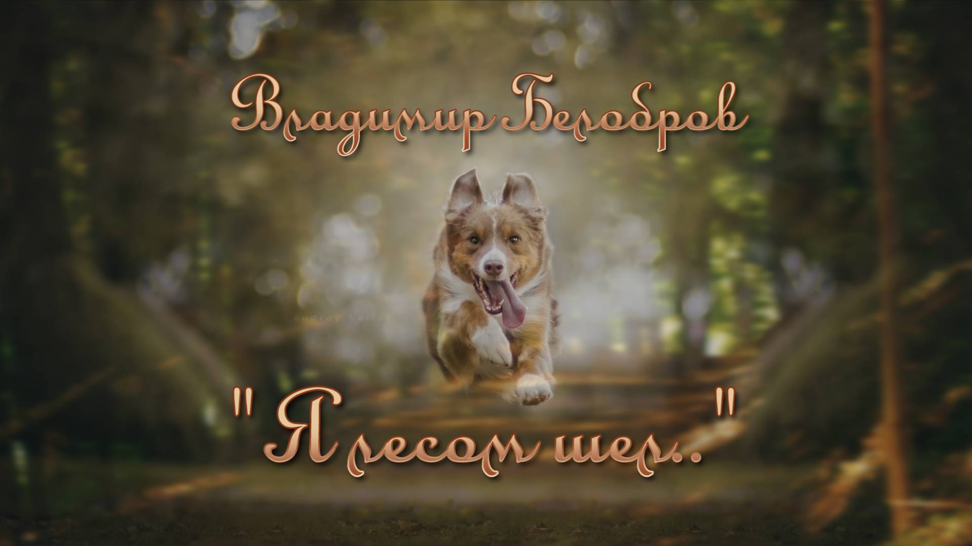 Я ЛЕСОМ ШЕЛ.. | Владимир Белобров