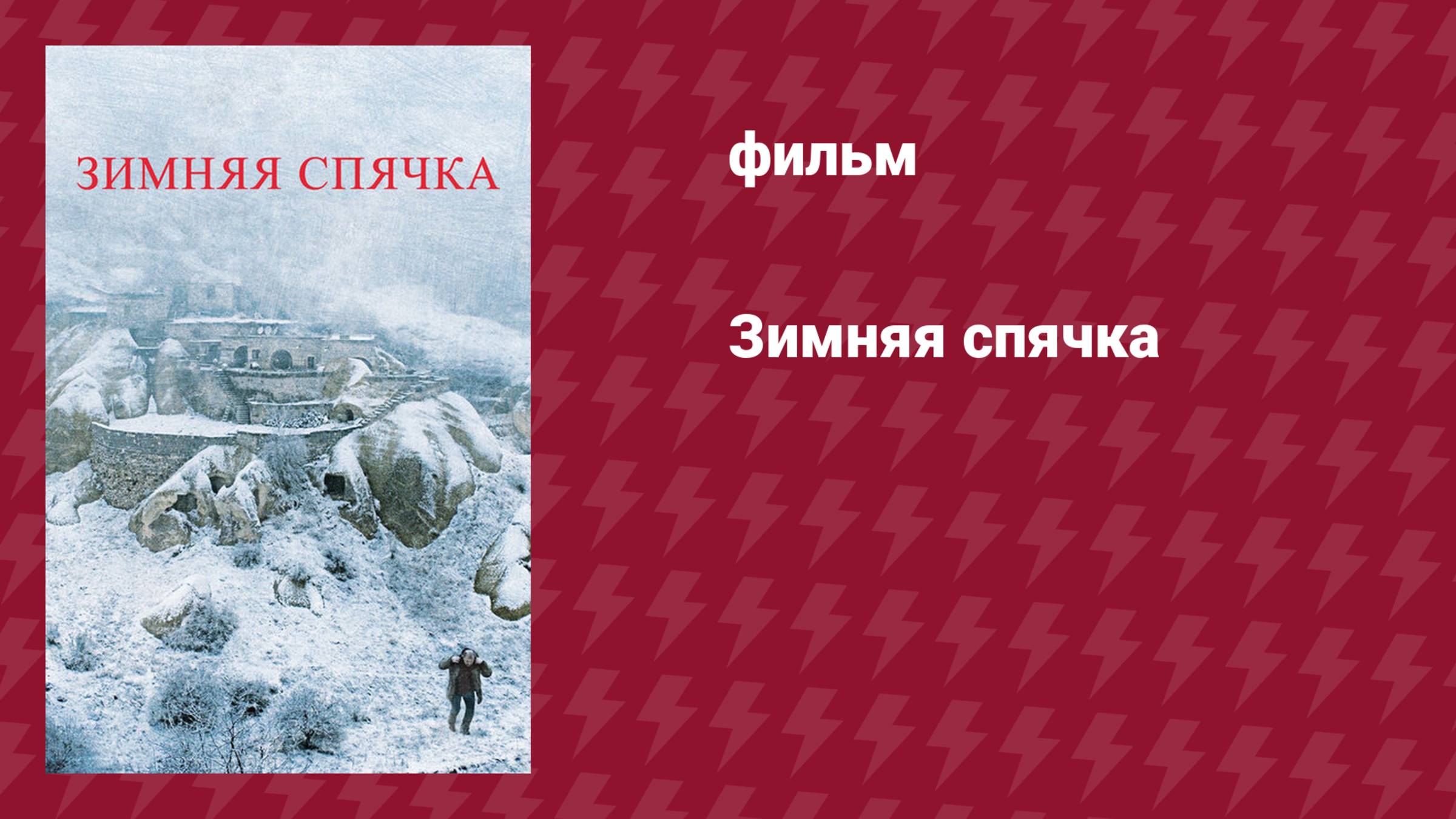 Зимняя спячка (фильм, 2014)