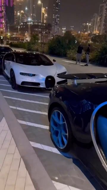 Discover the Luxury Car Culture of Dubai