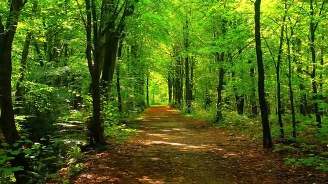 Instrumental qub ae 22 минус