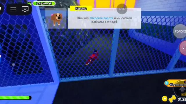 история питомца в роблокс 6 серия львимбаба