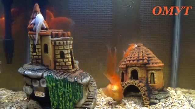 110. Суд БОЖИЙ и СРОК...