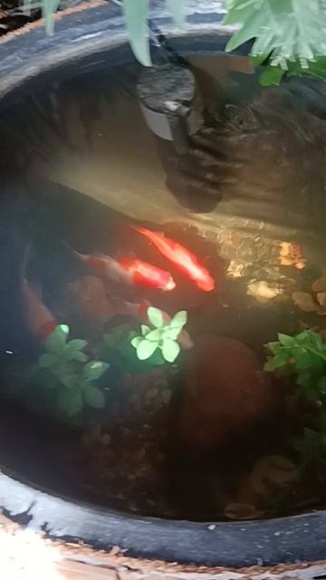 простить можно забывать нельзя