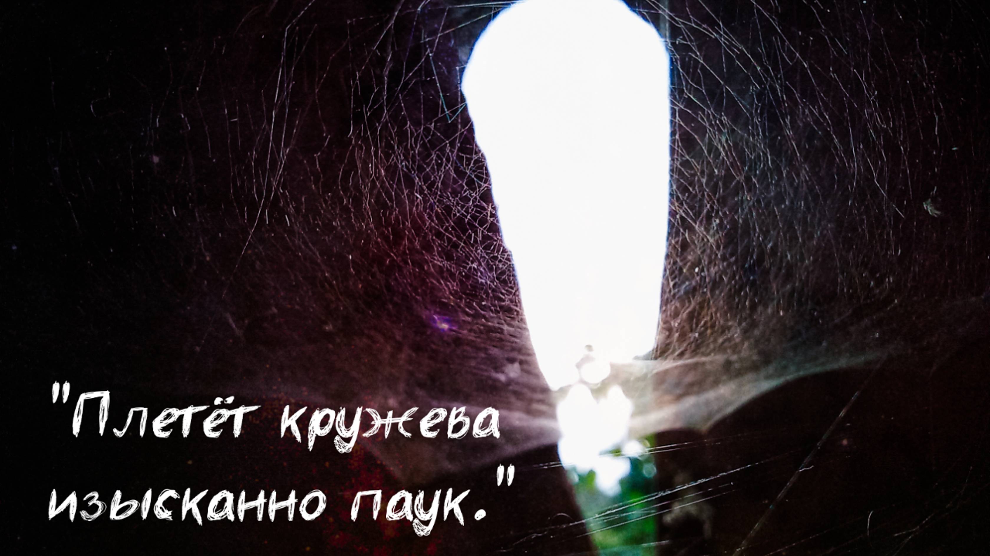 "Плетёт кружева изысканно паук." 🕷 (без озвучки)