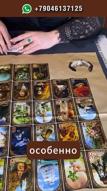 Ленорман | Живые легенды Ленорман | Отзыв о колоде из Одессы #shorts