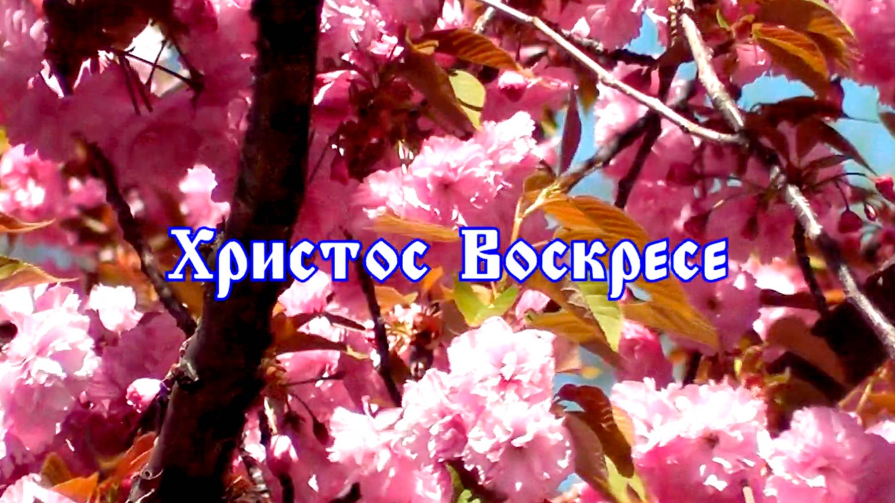 Христос Воскрес!