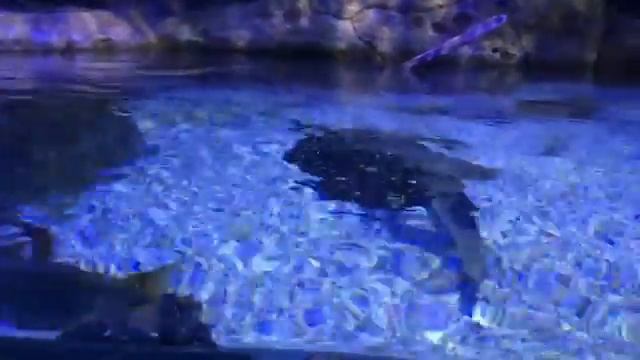 Крокус Сити Молл! Я в Вегасе!