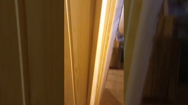 Внутренняя отделка бани #мастерремонтанн #отделкабани