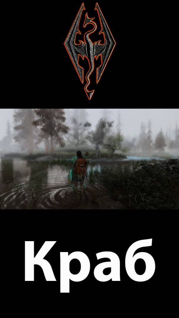 "Посмотрите, краб полетел..."