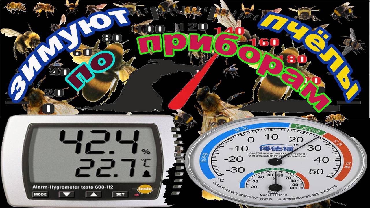 Как прозимовали пчёлы , смотрим датчики