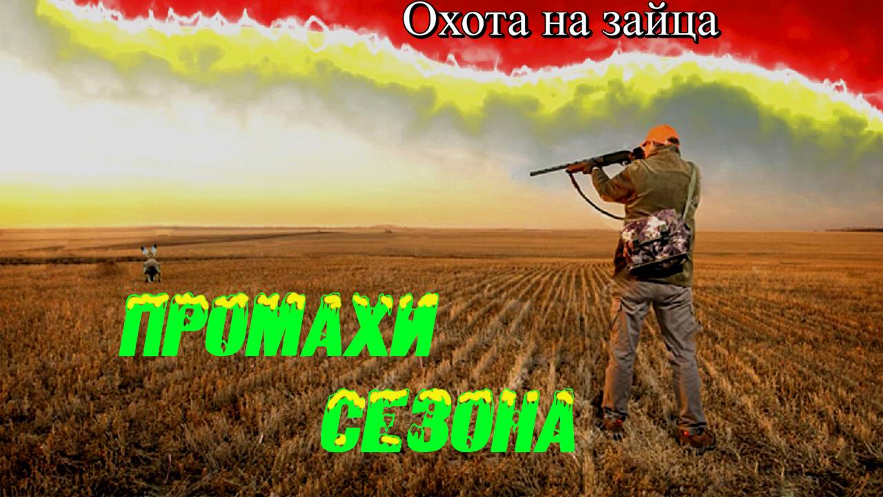 Промахи сезона охоты 2024 - 2025