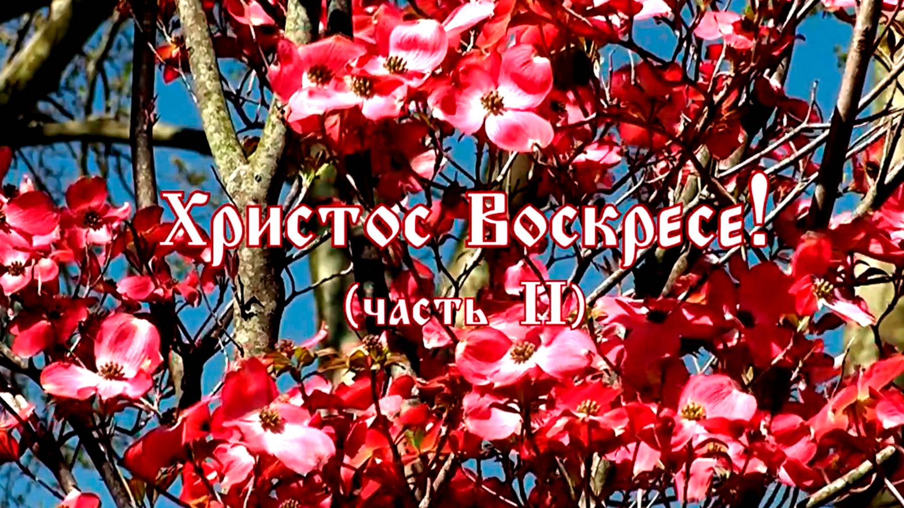 Христос Воскресе! часть 2.