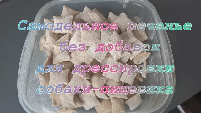 Самодельное печенье без добавок для дрессировки собаки-пищевика