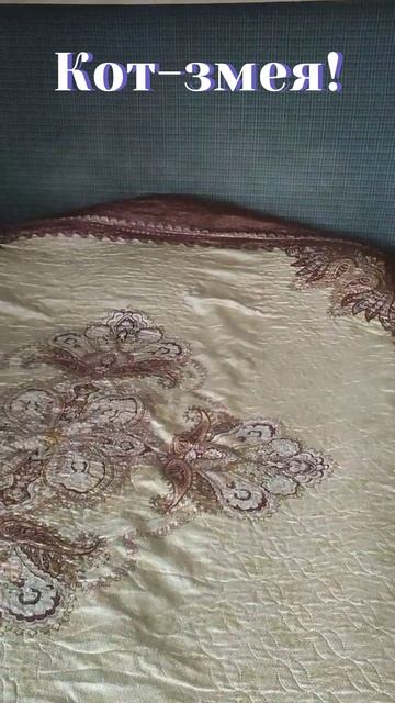 Кот-змея! Забавный котик Кеша.
