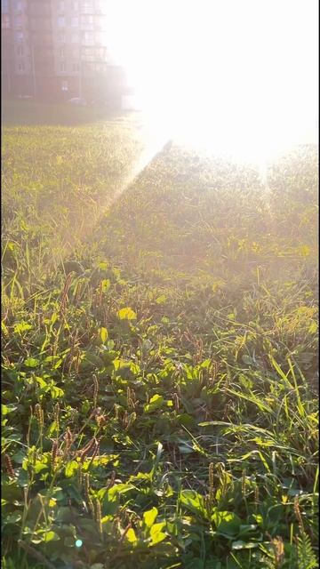 Да что такого в этом вашем Пущино?