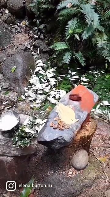 Зачем аборигены австралии рисовали на теле?