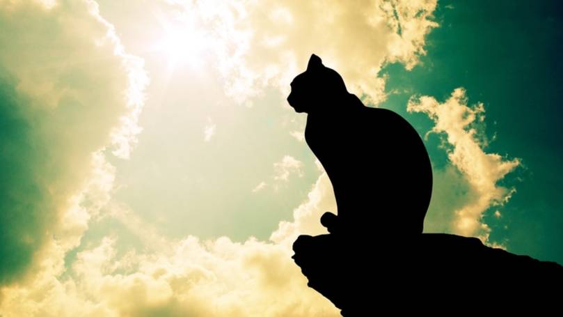 В ТИШИНЕ ДУШИ — ВСЁ