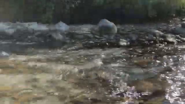 Поход. Первый день!