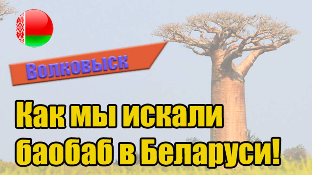 Волковыск 2024 Уникальный город в Беларуси. Места о которых не все местные знают  #беларусь #trip