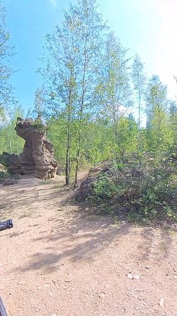 поехали катать  #shorts