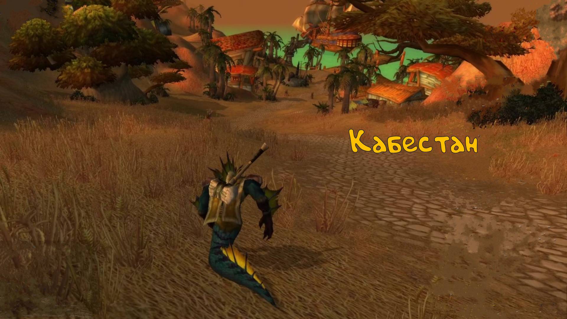 Еще один город позади: World of Warcraft! История Ваашгара - 2.8