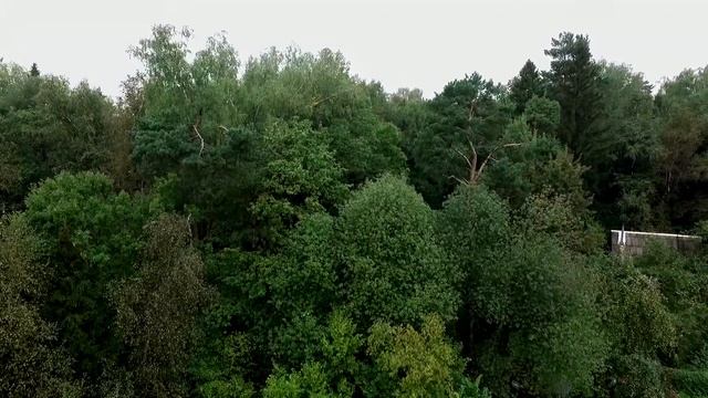 Квадрокоптеры