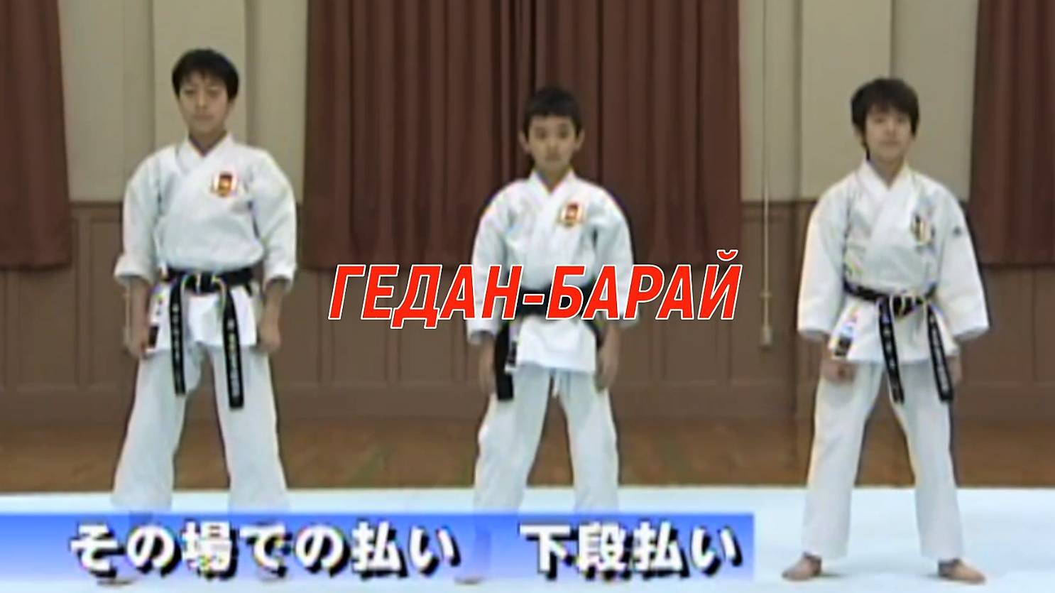 Гедан-барай (Кихон Вадо каратэ)