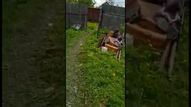 Демонтаж построек на частном секторе.